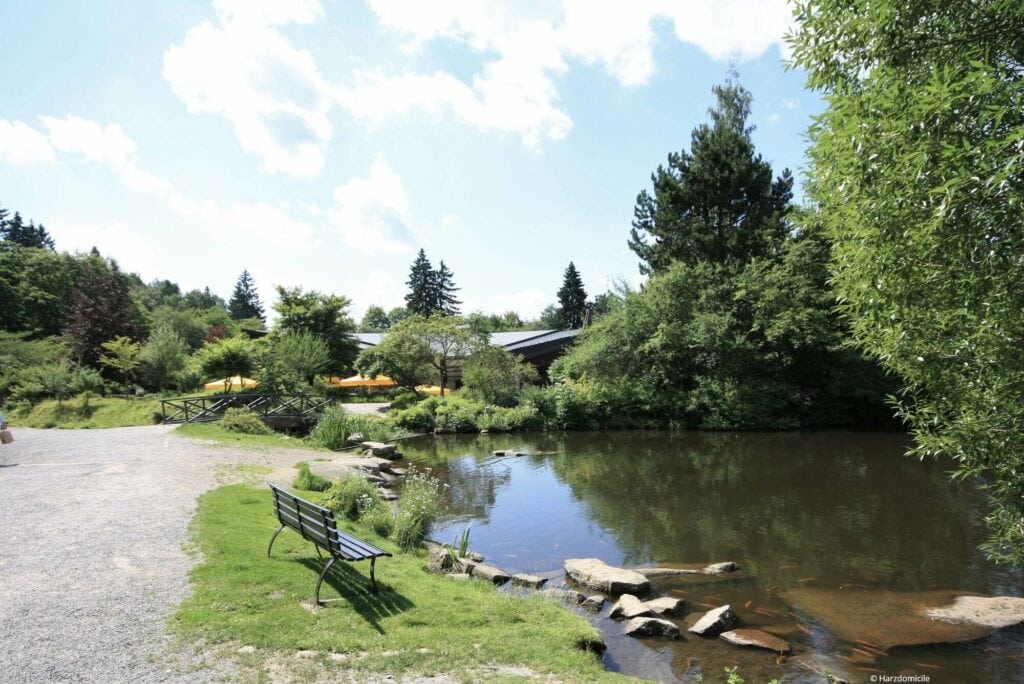 Faszinierend Wetter Braunlage 30 Tage Ebenbild